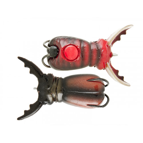 SUPERNATO BEETLE BABY-STAG BEETLE